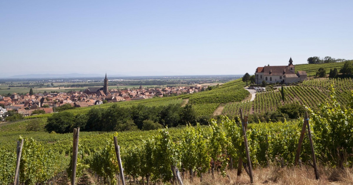 Dambach-la-ville - Notre Histoire - Vins Pernet & Fils